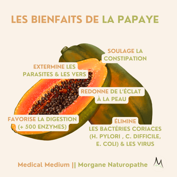PAPAYE UN JOUR, PAPAYE TOUJOURS (OU PRESQUE) : CONFIDENCES TROPICALES ...